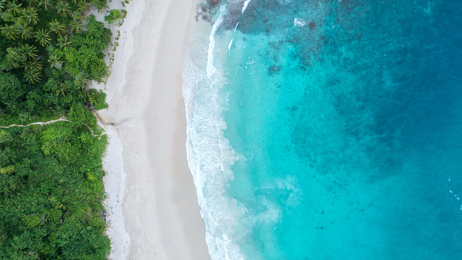 FENC | Filament Division